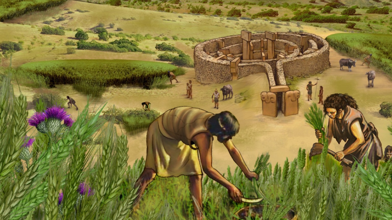 Balaya® - BASF Tarım Çözümleri Türkiye