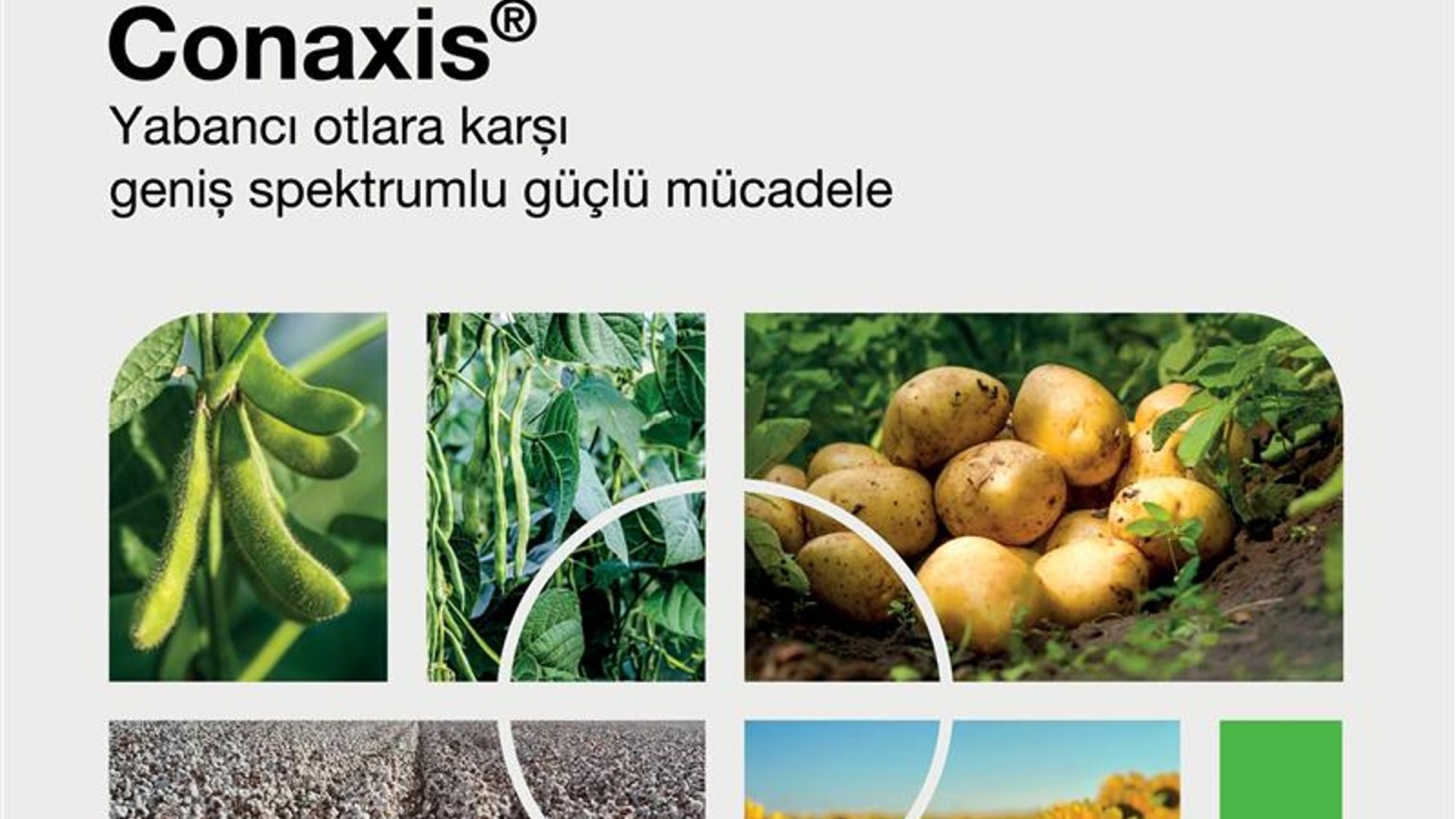 Conaxis® - BASF Tarım Çözümleri Türkiye