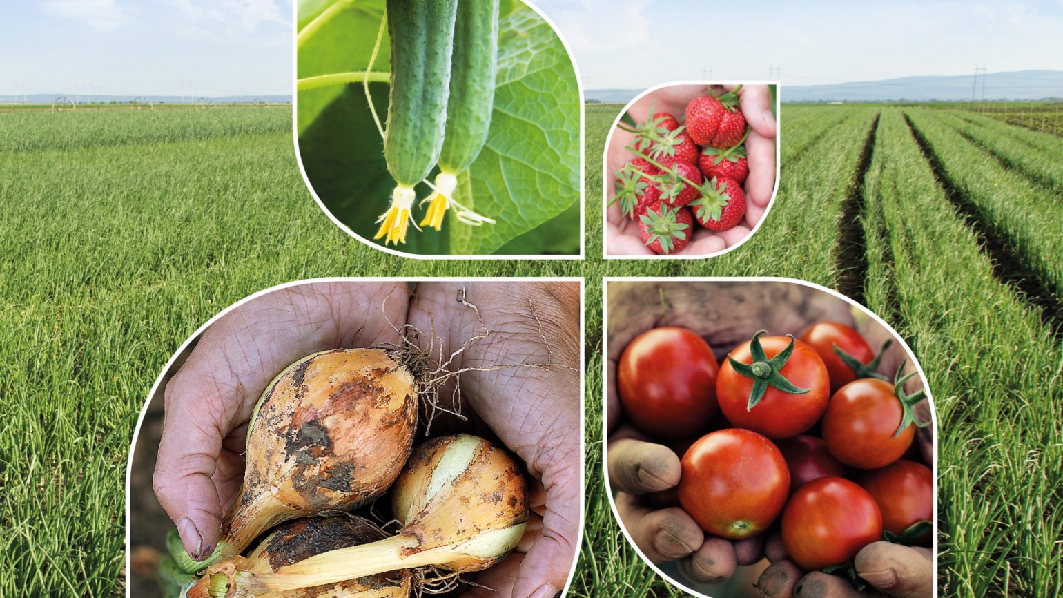 Signum® WG - BASF Tarım Çözümleri Türkiye