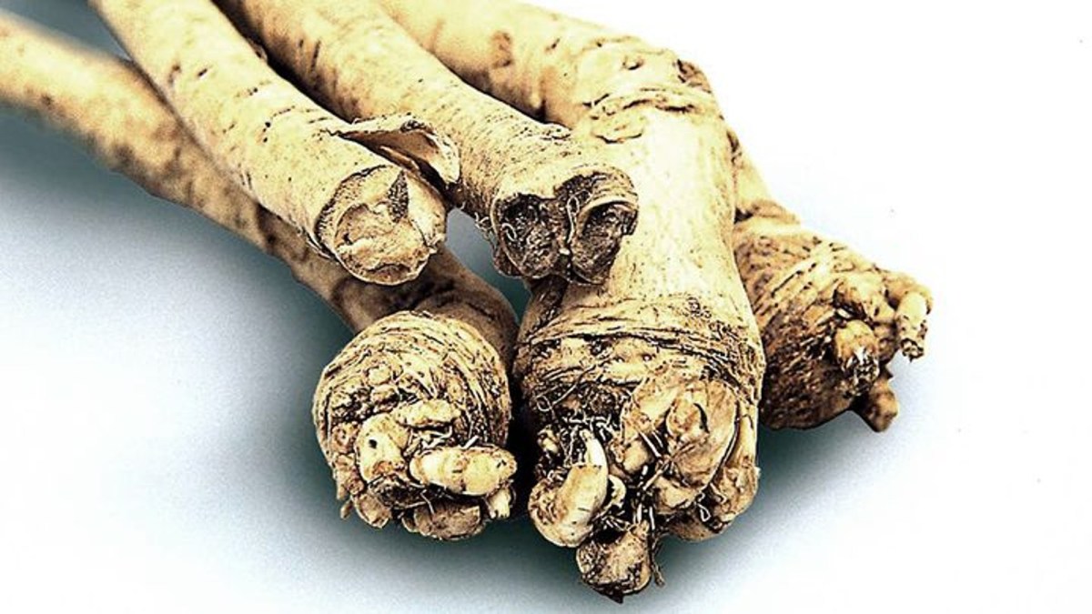 Yaban Turpu - BASF Tarım Çözümleri Türkiye